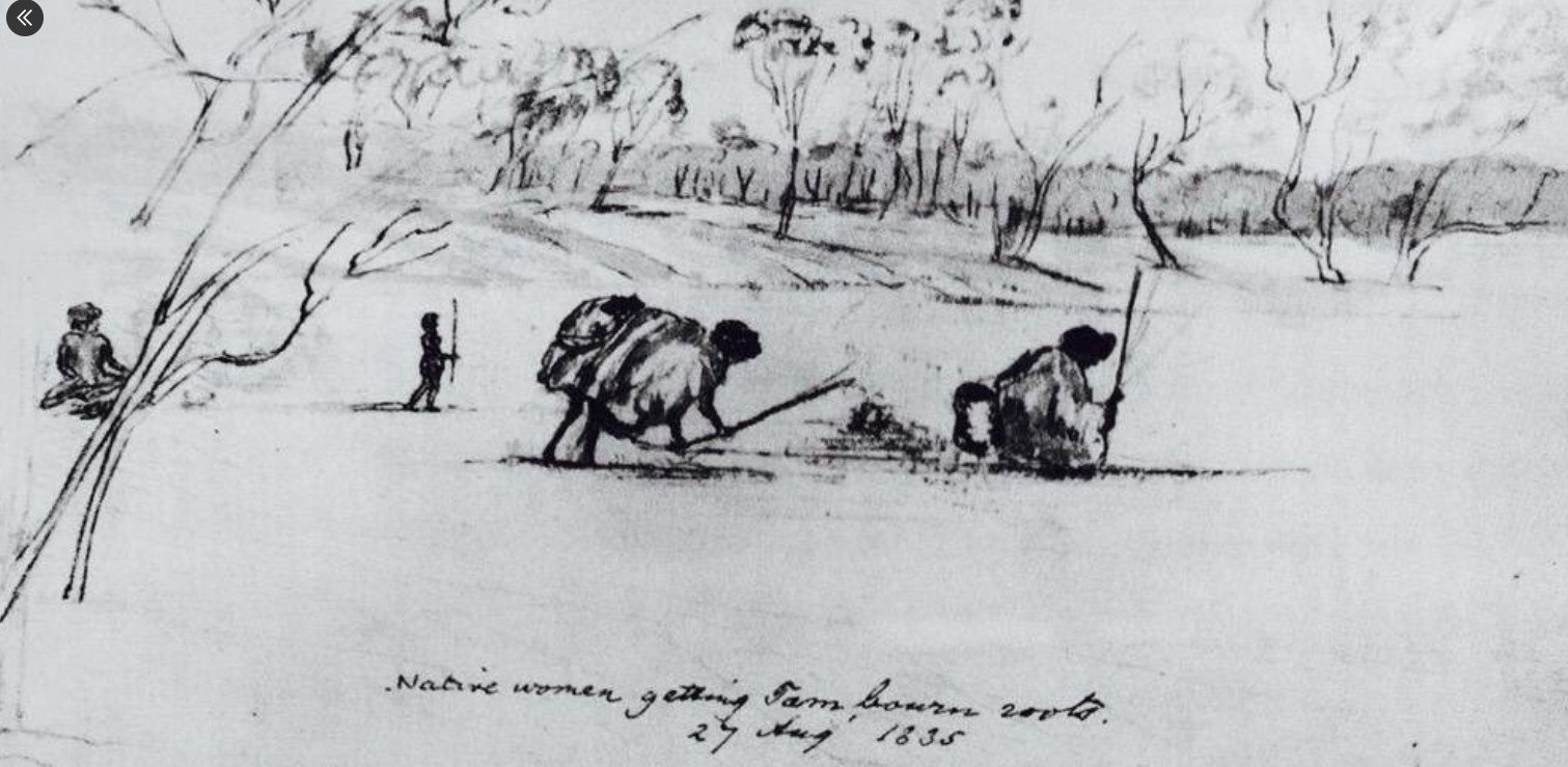 Who Do We Think We Are? Part 2: Acts of Cruelty and Injustice - The ...