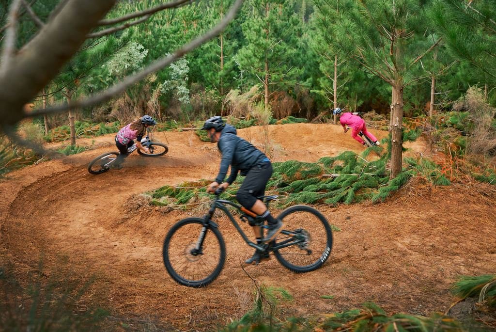 Council Seeks Community Feedback on Council Plan - The Wombat Post