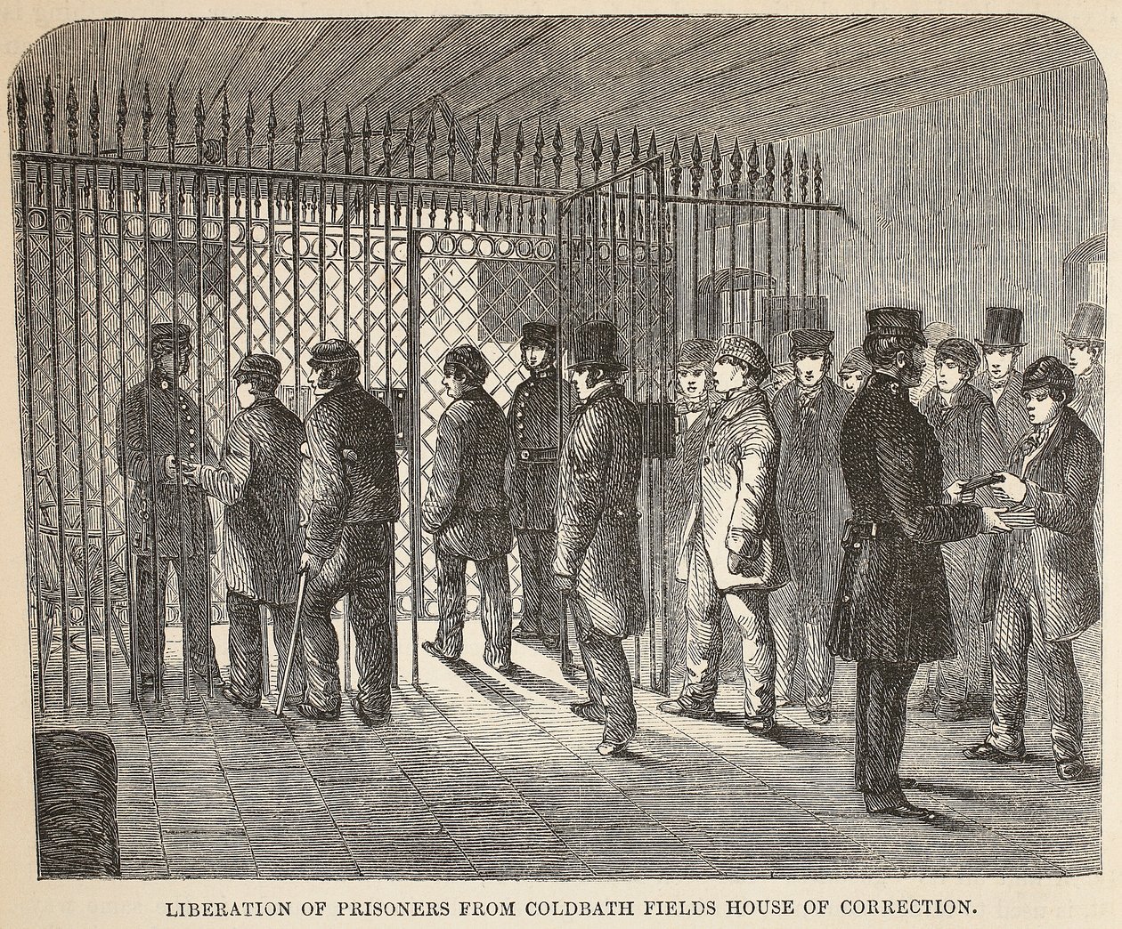 The History Files: Tar and Feathers - The Verdict - The Wombat Post